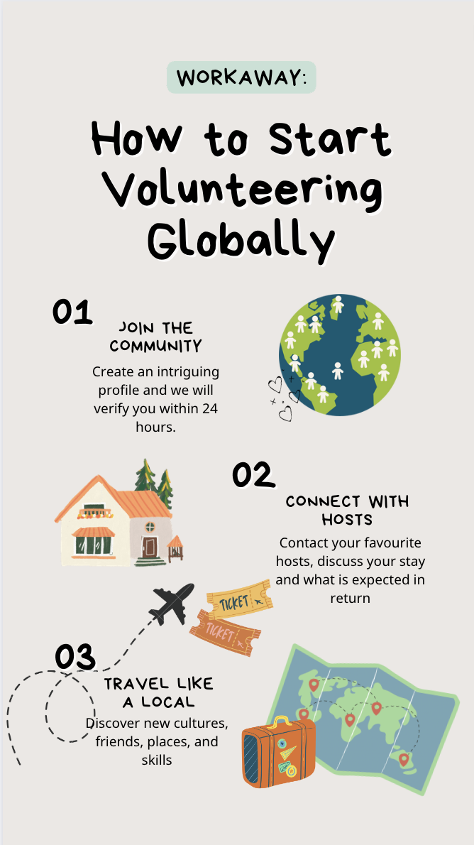 7 Day Social Media Campaign — avery krause